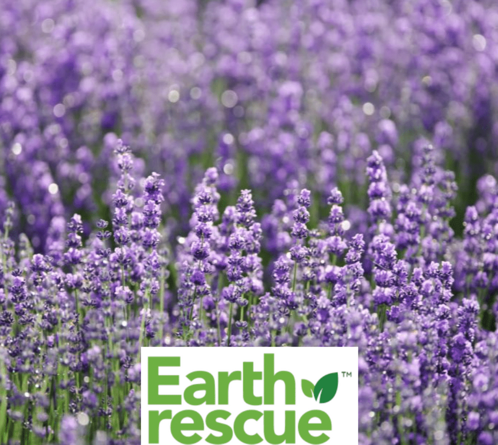 Who We Are – Earth Rescue