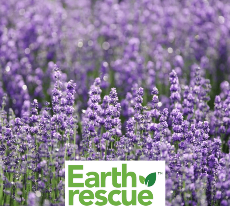 Who We Are – Earth Rescue